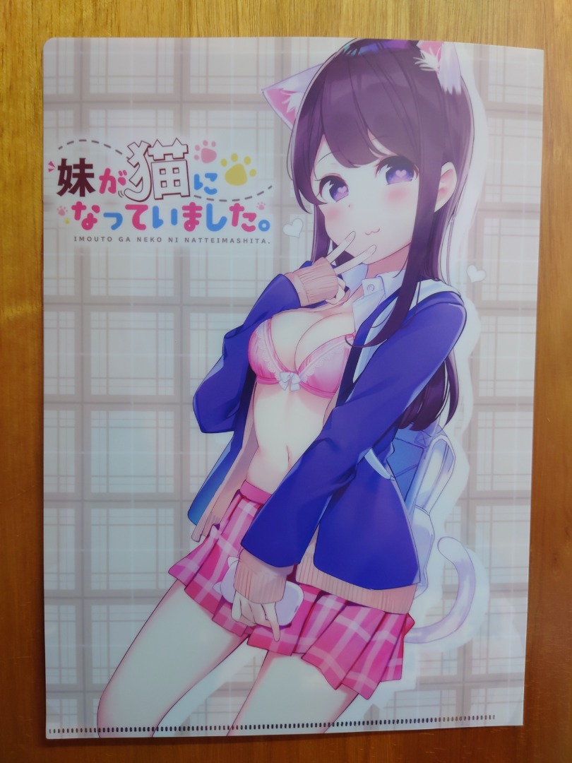 Imouto ga Neko ni Natteimashita A4 Clear File, Hobbies & Toys, Collectibles & Memorabilia, Fan ...