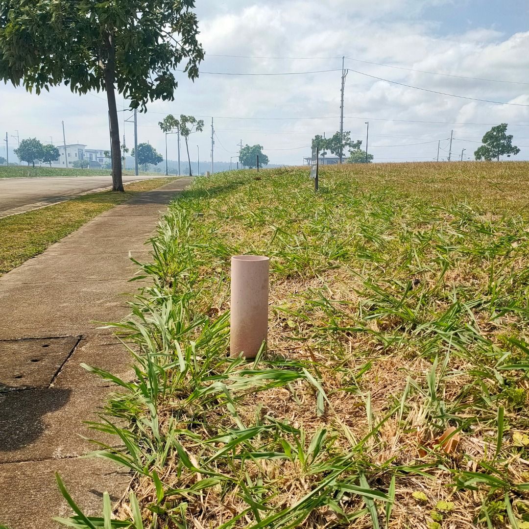 Mondia Lot at 299 SQM Lot Area in Phase 1, Facing South and Mt ...