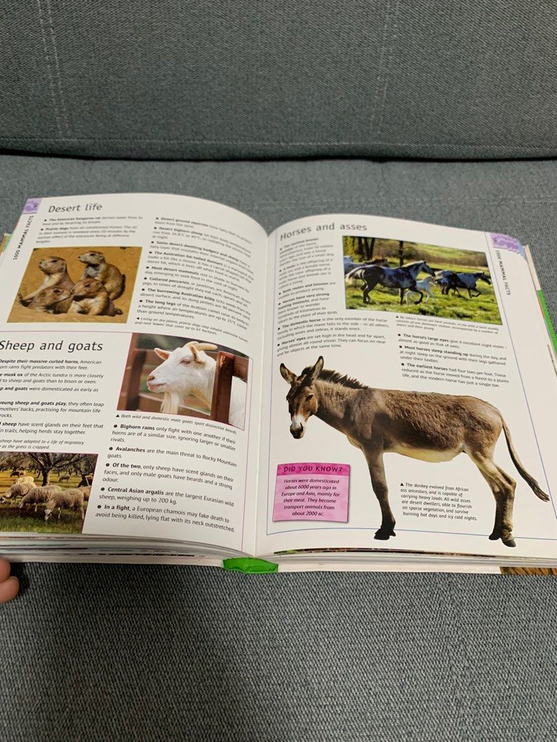 6000 Awesome facts book, Hobbies & Toys, Books & Magazines, Children's ...