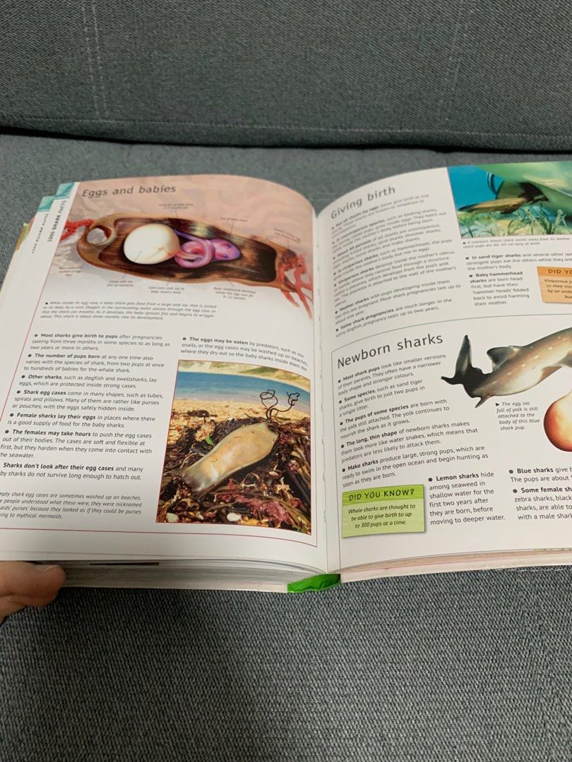 6000 Awesome facts book, Hobbies & Toys, Books & Magazines, Children's ...