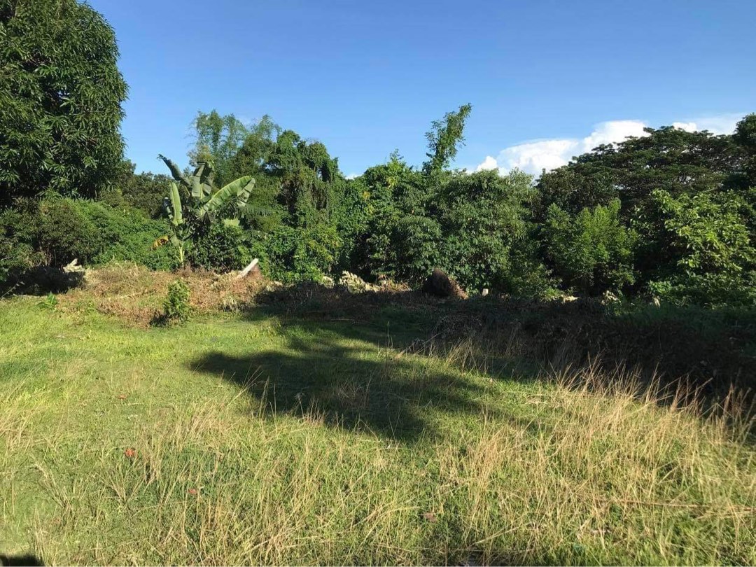 farm lot tanauan - View all farm lot tanauan ads in Carousell Philippines