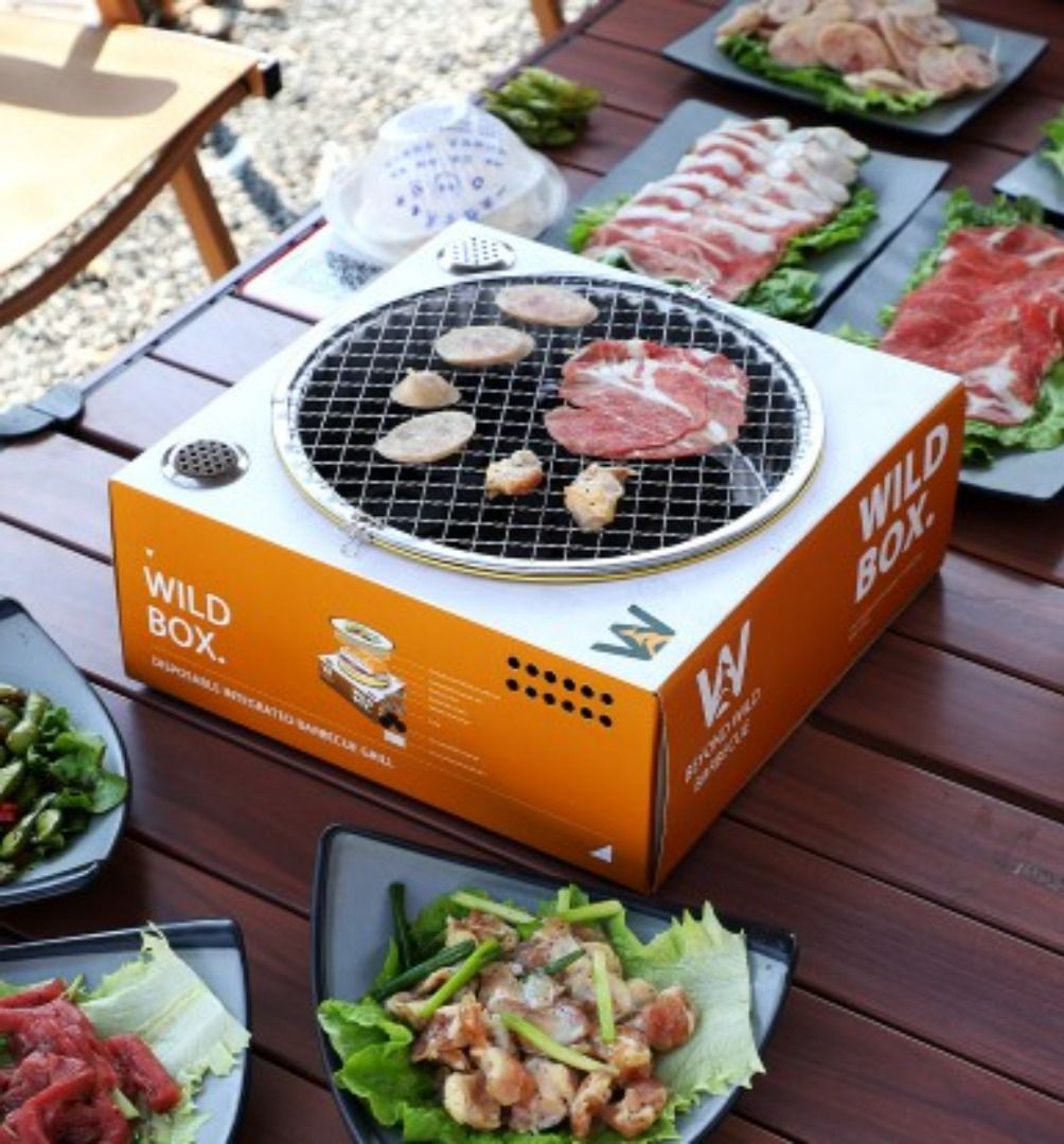 Mini Disposable Portable Barbeque Charcoal Grill (H0790), TV & Home ...