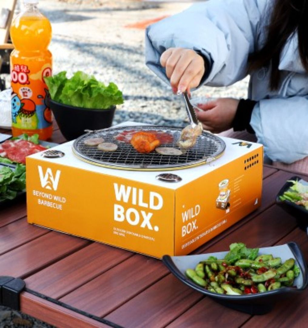 Mini Disposable Portable Barbeque Charcoal Grill (H0790), TV & Home ...