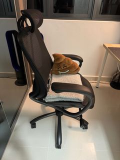 Relyon Mesh Ergonomic Office Chair, Furniture & Home Living, Furniture ...