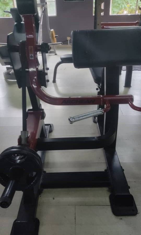 Impulse plate loaded bicep curl, Sports Equipment, Exercise & Fitness ...