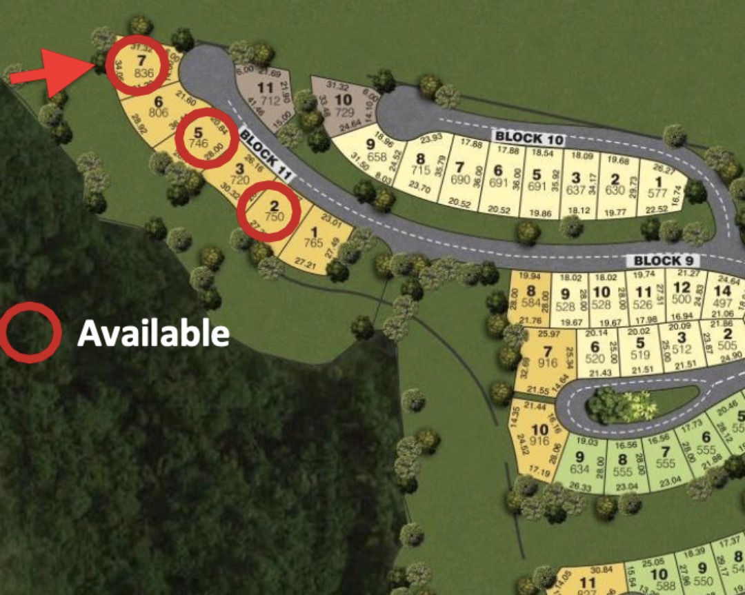 836sqm Ayala Greenfield Estates Vacant Lot For Sale RIDGE Calamba ...