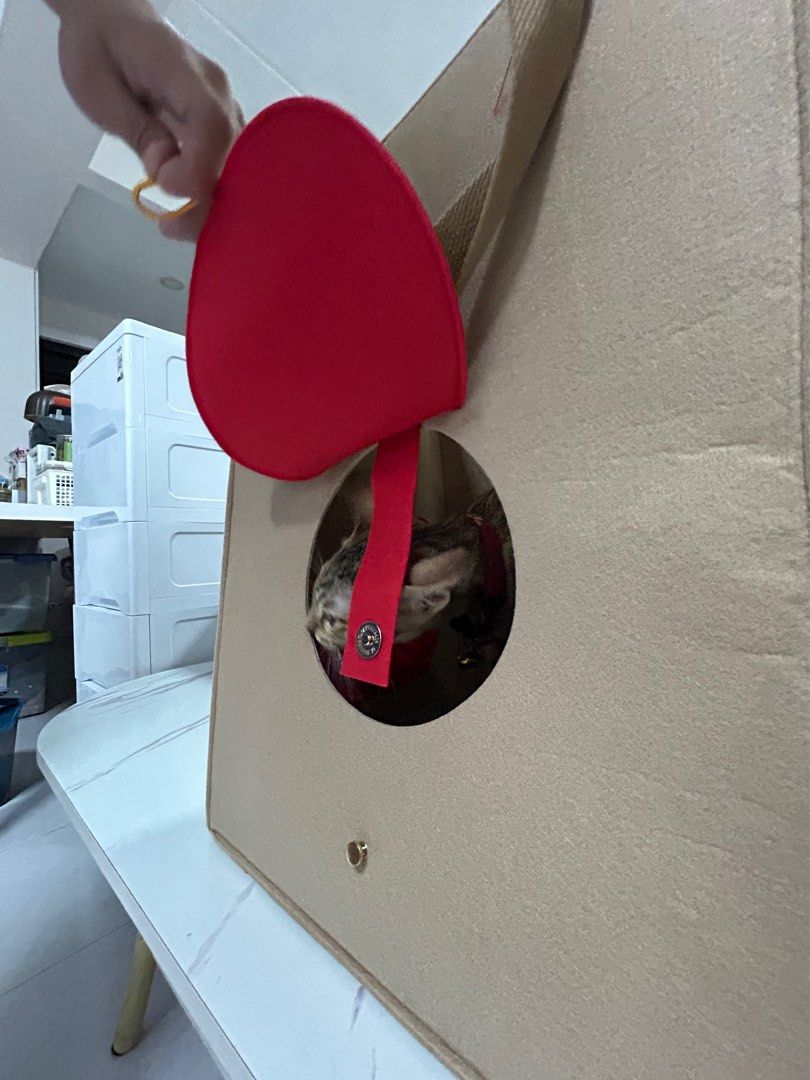 Mcdonald cat bag/carrier, Pet Supplies, Homes & Other Pet Accessories ...