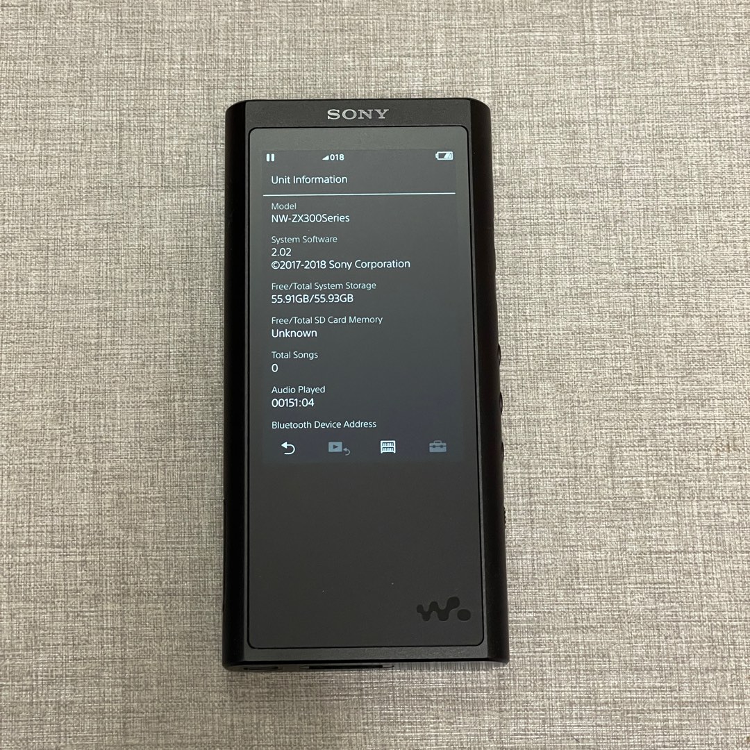 SONY NW-ZX300 Music Player 播放器 (新淨), 音響器材, 音樂播放裝置 MP3及CD Player - Carousell
