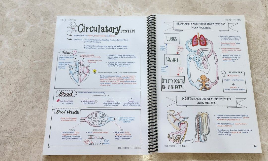 PSLE Science Sketchnotes (2nd ed), Hobbies & Toys, Books & Magazines ...