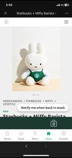 Starbucks + Miffy Barista Miffy Plush, Hobbies & Toys, Toys & Games on Carousell