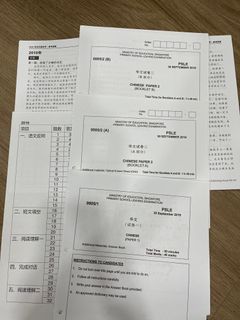 PSLE past years exam paper, Hobbies & Toys, Books & Magazines ...