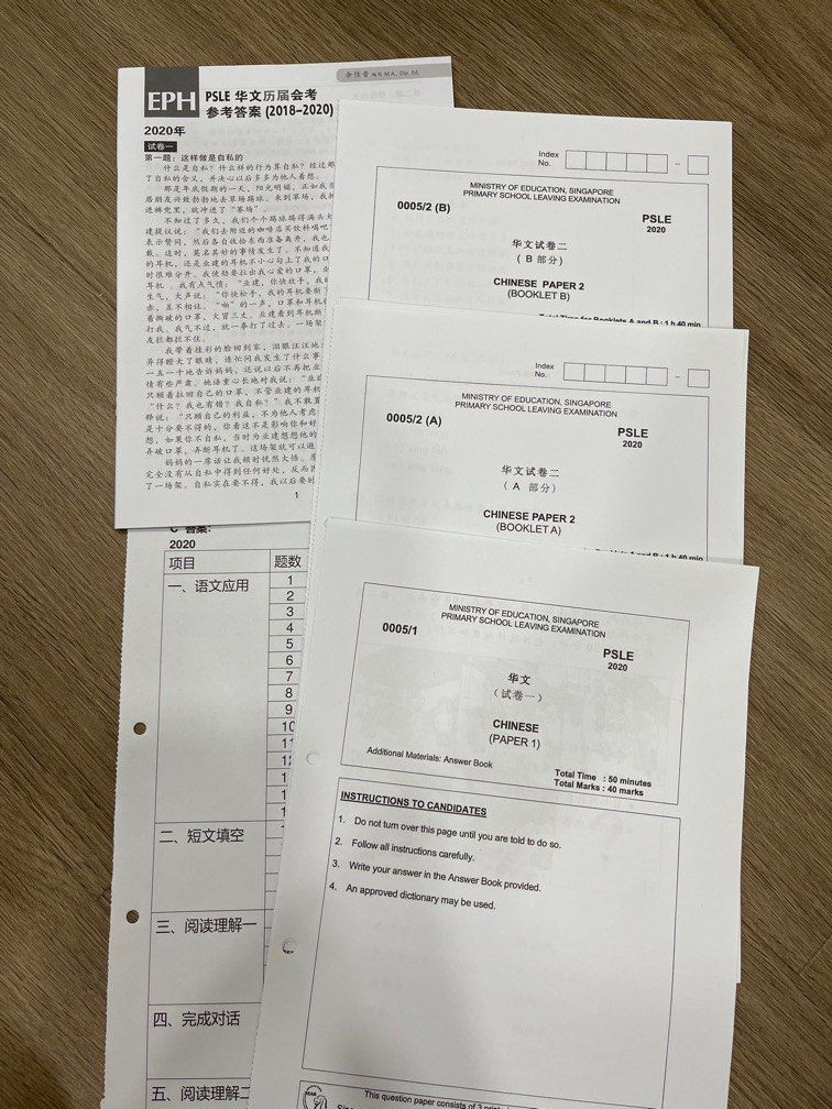 2020 PSLE Chinese Paper, Hobbies & Toys, Books & Magazines, Assessment ...