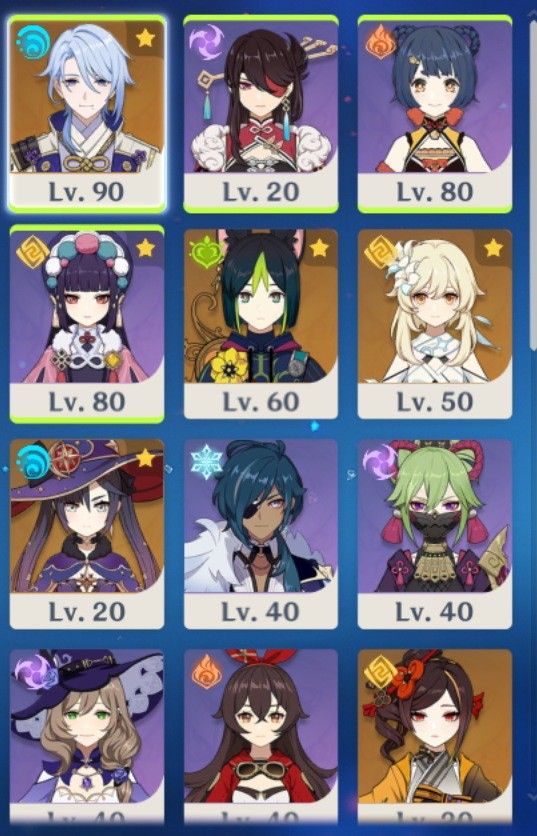 C6 Ayato + Sig w/ Chiori and Friends Genshin Impact Account, Video ...