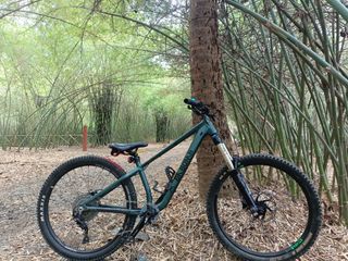DA BOMB MTB Frame - Sentinel 29er Boost (Enduro - Hardtail), Sports ...
