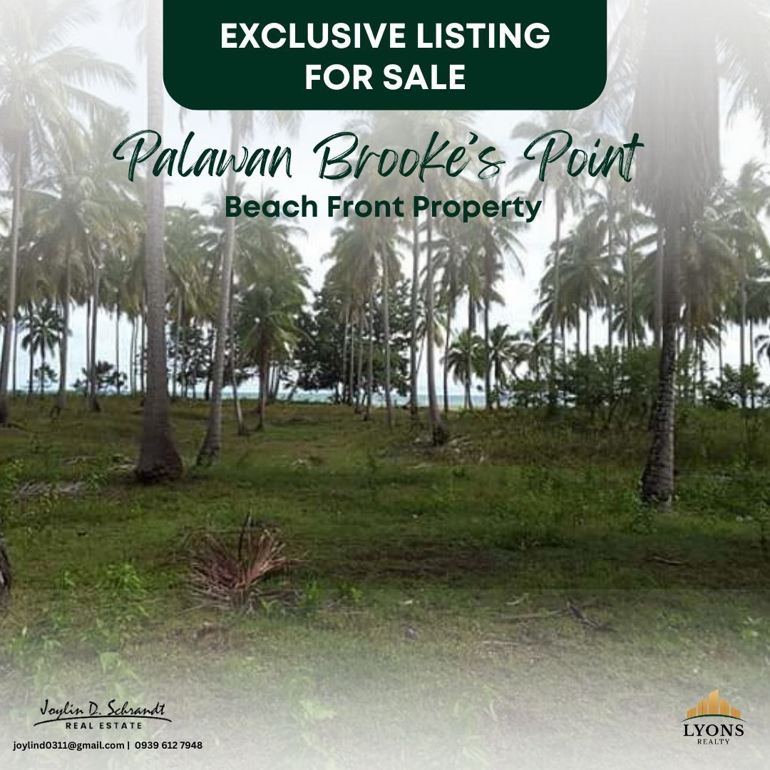 Titled Beach front at Brooke's Point Palawan, Property, For Sale, Lot ...