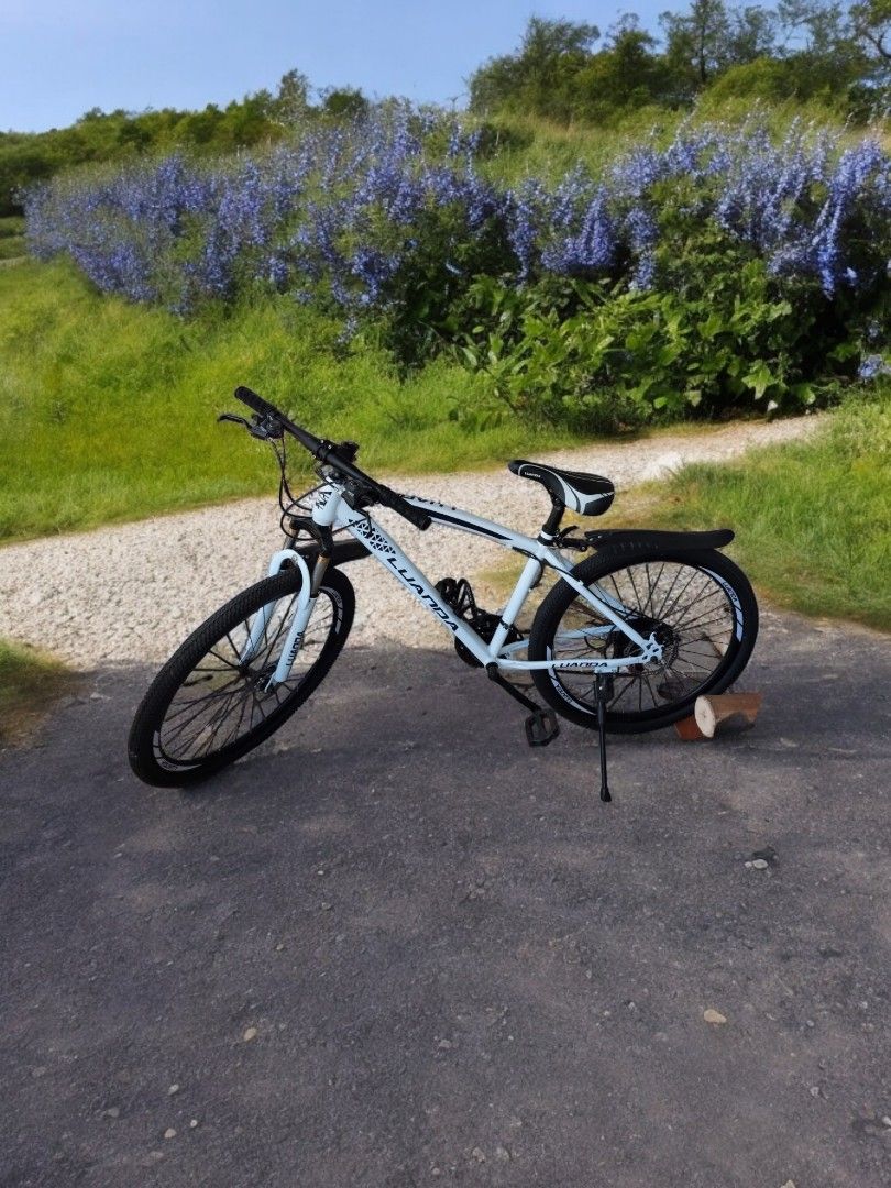 LUANDA Sports Mountain Bike Bicycle 26inch High Carbon Steel Adult 3x7 ...