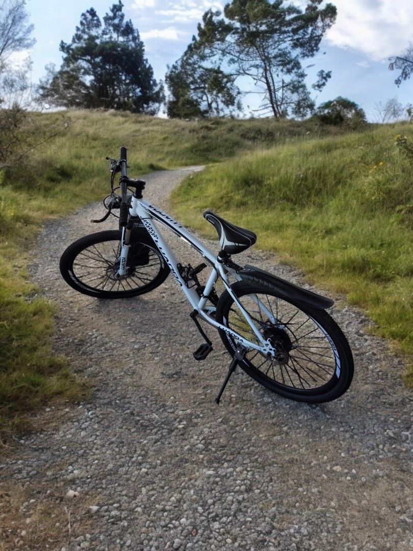 LUANDA Sports Mountain Bike Bicycle 26inch High Carbon Steel Adult 3x7 ...