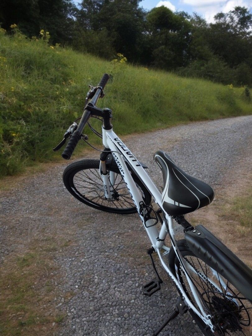 LUANDA Sports Mountain Bike Bicycle 26inch High Carbon Steel Adult 3x7 ...