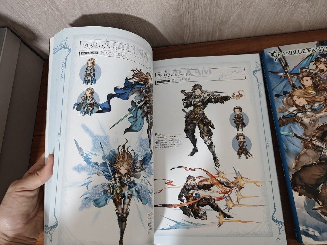Grand blue fantasy artbook 1 & 2, Hobbies & Toys, Books & Magazines ...