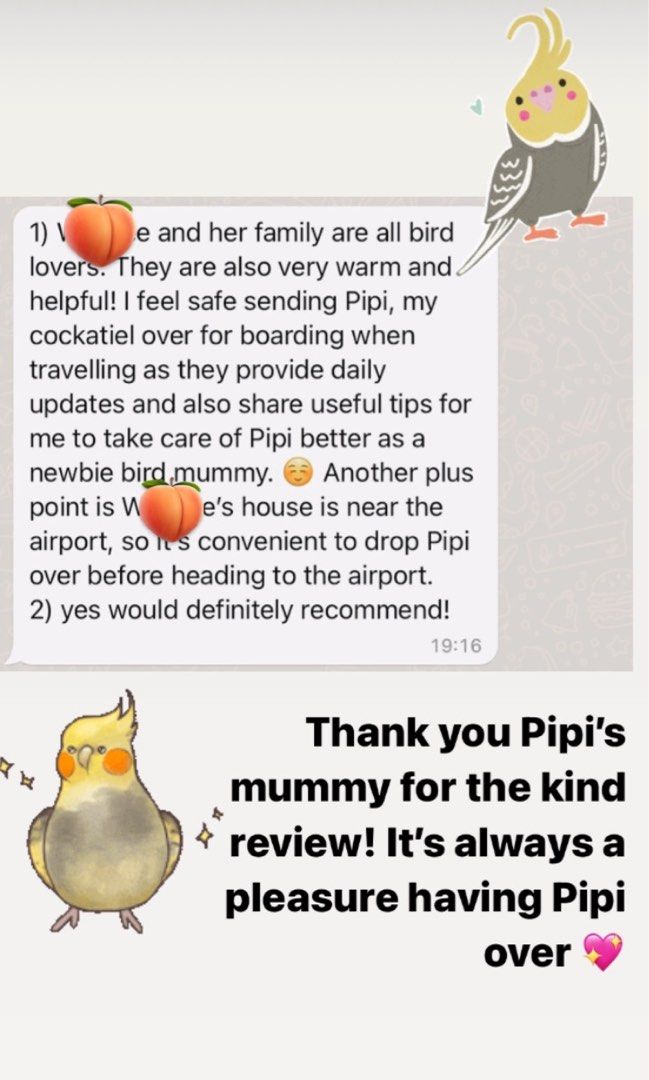 Parrot Bird Boarding Eastside - 10 mins to airport, Lifestyle Services ...
