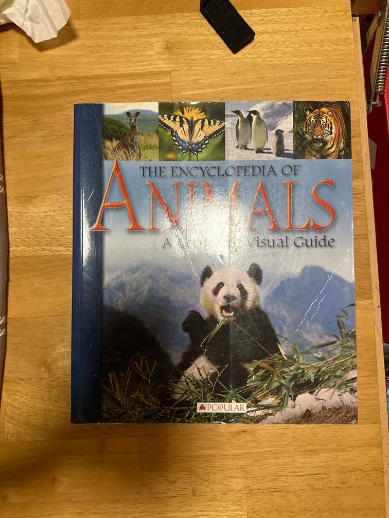 Animal Visual Book, Hobbies & Toys, Books & Magazines, Textbooks on ...