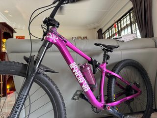 DA BOMB MTB Frame - Sentinel 29er Boost (Enduro - Hardtail), Sports ...