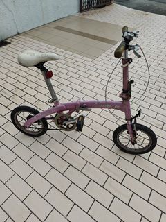 Dahon Archer P8 20” Folding Bike 8 Speed, Sports Equipment, Bicycles ...