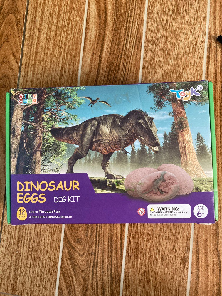 Dinosaur Egg Dig Kit, Hobbies & Toys, Toys & Games on Carousell