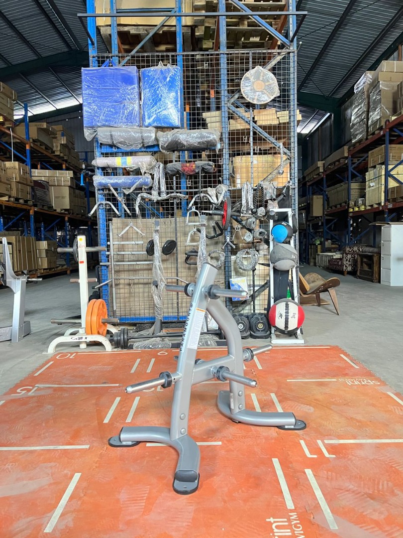 GYM EQUIPMENT PARAMOUNT TRUE FITNESS WEIGHT PLATE TREE, Sports ...