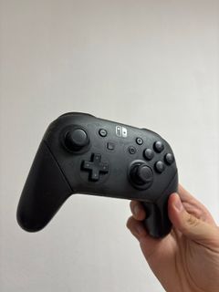 Nintendo Switch Pro Controller TOTK, Video Gaming, Gaming Accessories ...