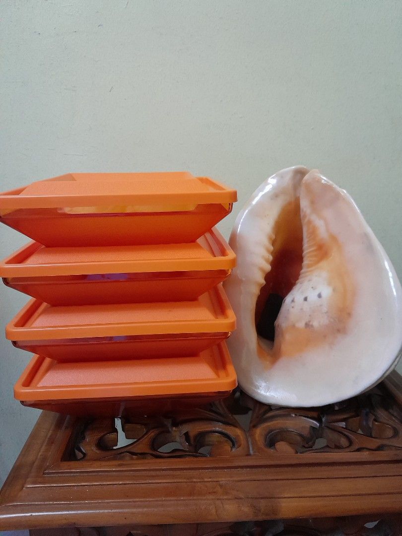 Tupperware bekas kuih raya, Furniture & Home Living, Kitchenware ...
