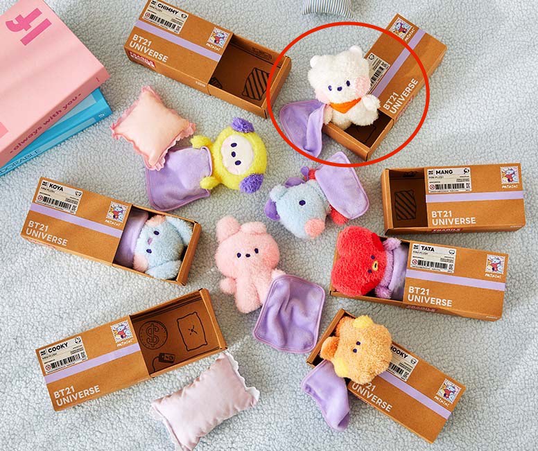 BT21 RJ minini Plush Doll House Parcel, Hobbies & Toys, Toys & Games on ...