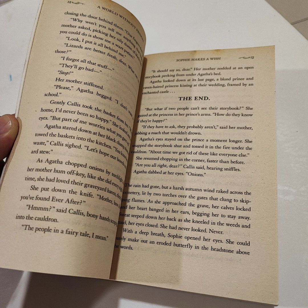 (ENG) The School For Good And Evil : A World Without Princes, Hobbies ...