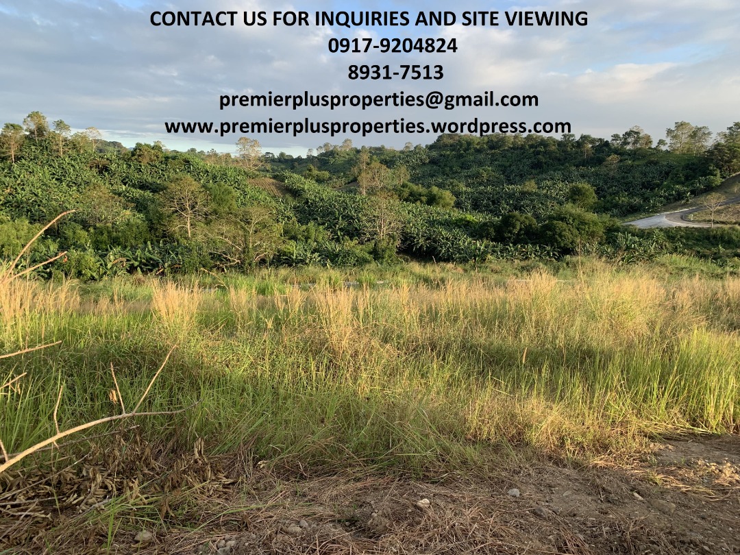 Lot for Sale at Colinas Verdes La Cresta in SJDM, Bulacan - Best ...