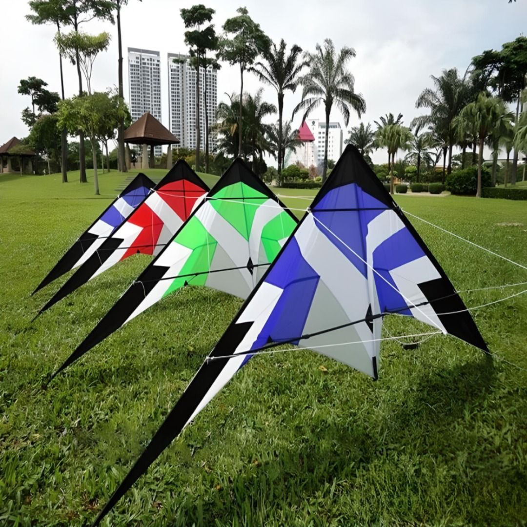 2.2m Albatross Corolla Gen2 Stunt Kite [LOUD] (Code : SF2), Sports ...