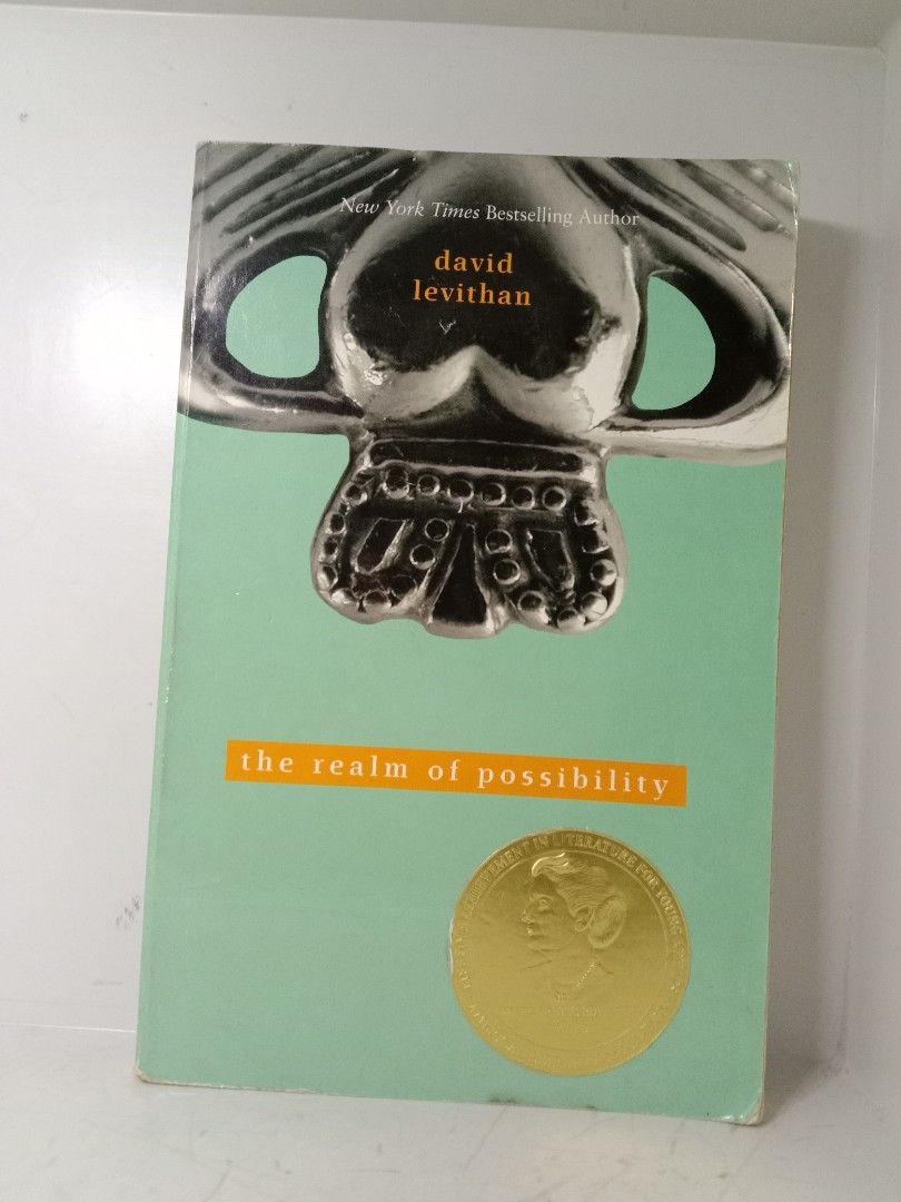 David Levithan: The Realm of Possibility, Hobbies & Toys, Books ...