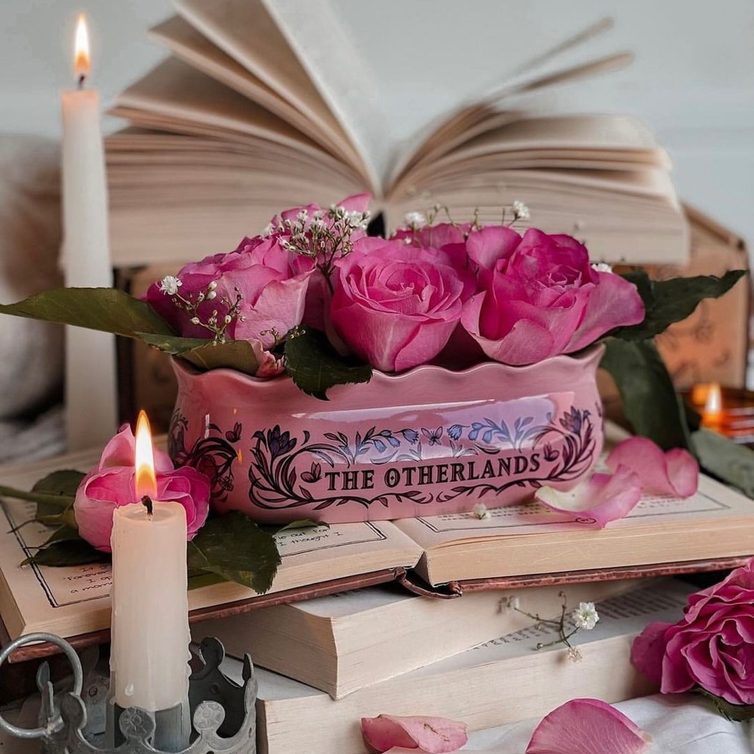 Fairyloot Emily Wilde by Heather Fawcett Planter, Hobbies & Toys ...