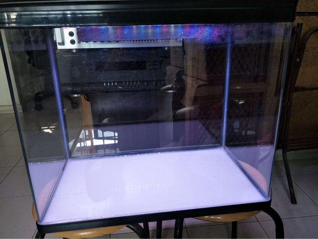20 inch (2 Ft) Fish tank with light and filter, Pet Supplies, Homes ...