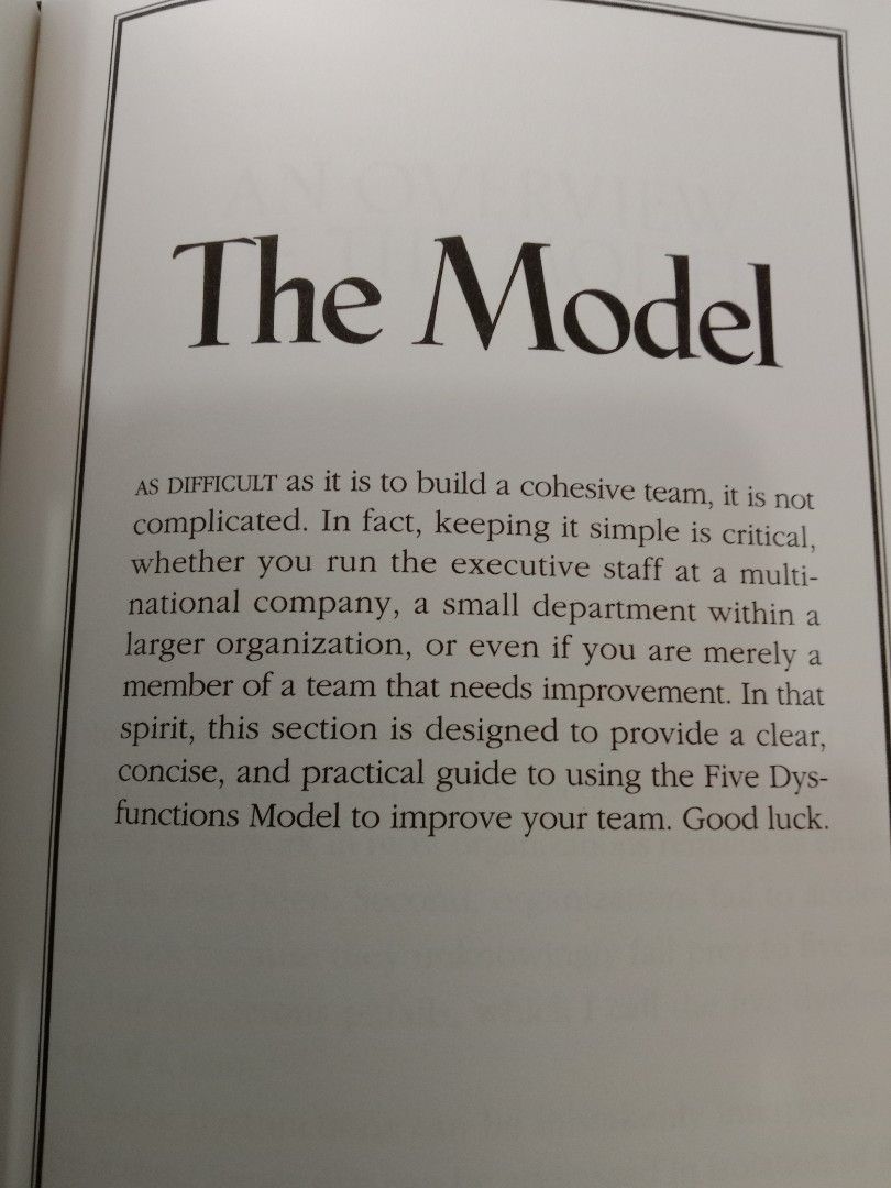 PATRICK LENCIONI: The FIVE DYSFUNCTIONS of a TEAM, Hobbies & Toys ...