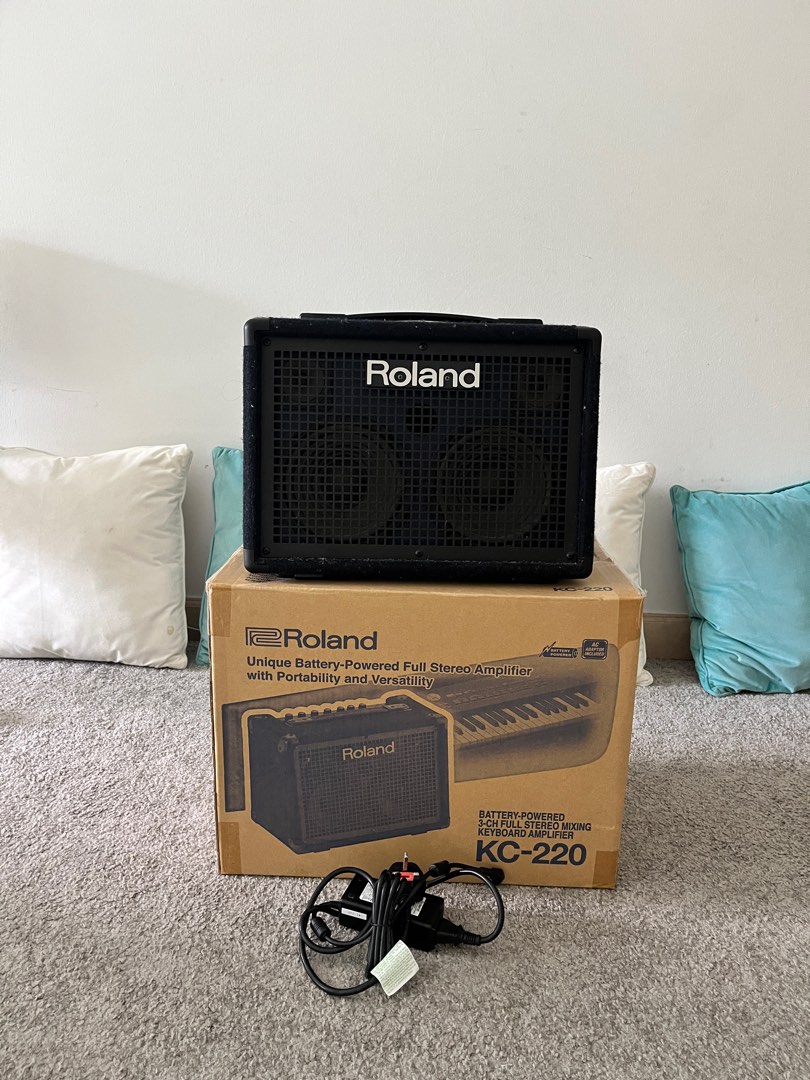 Roland KC-220, Hobbies & Toys, Music & Media, Music Accessories on Carousell