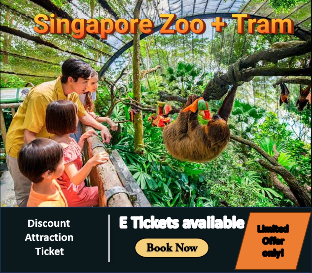 Singapore Zoo + Tram - E Tickets Best Offer!!!!, Tickets & Vouchers ...