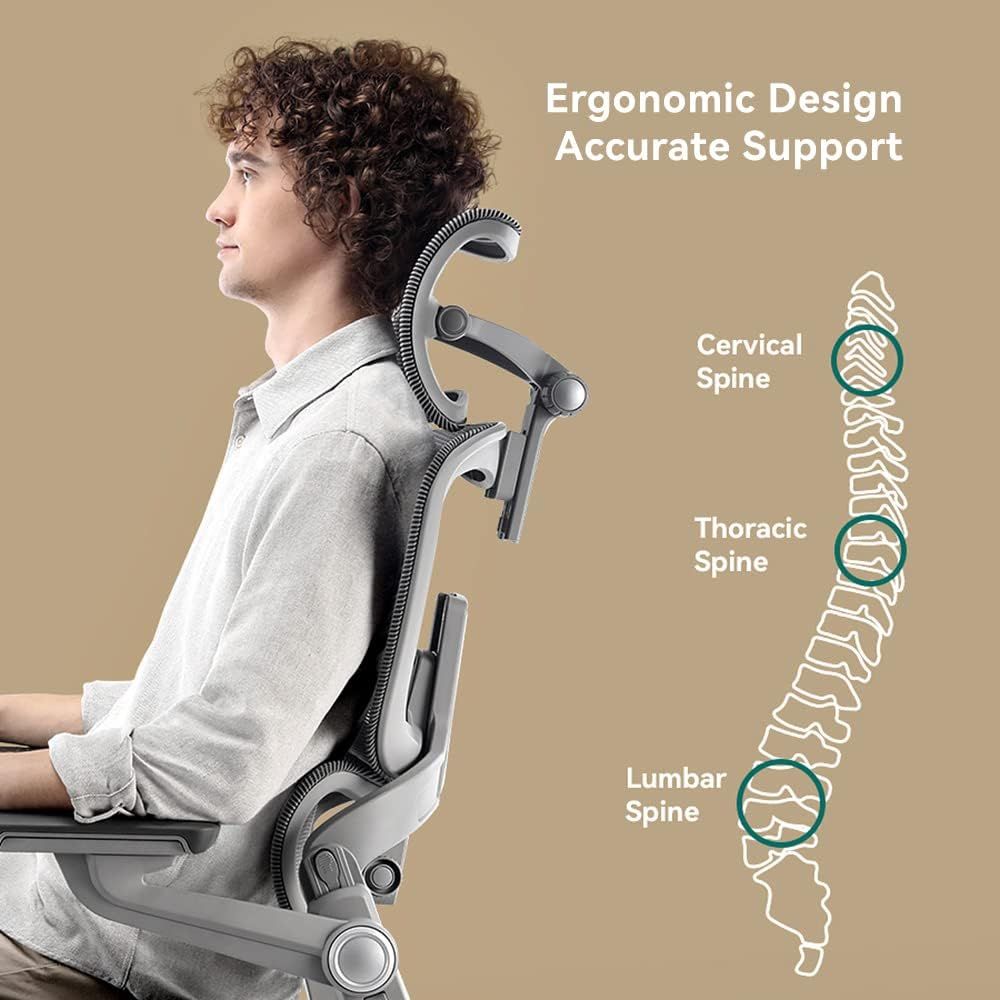 HINOMI H1 Pro 3D Lumbar Support Ergonomic Office/Gaming Chair - 5D ...