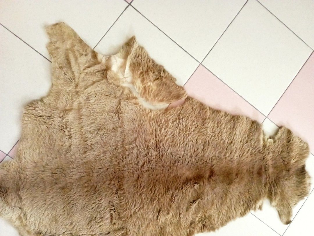 Australian Kangaroo Skin 3' x 4.5', Furniture & Home Living, Home Decor ...