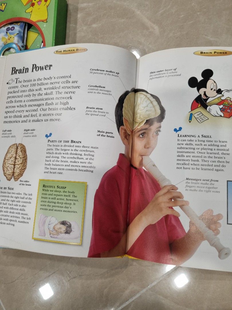 Disney Human Body book, Hobbies & Toys, Books & Magazines, Children's ...