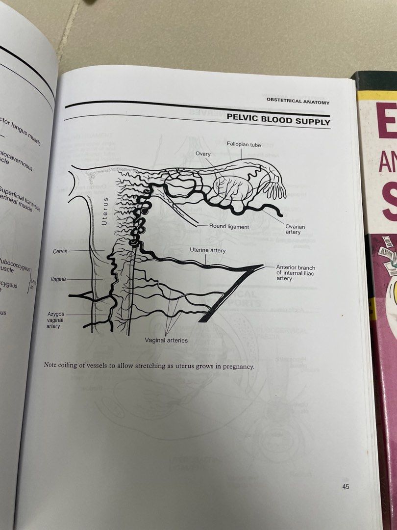 Obstetric and Gynaecology & Endocrine Textbook, Hobbies & Toys, Books & Magazines, Textbooks on ...