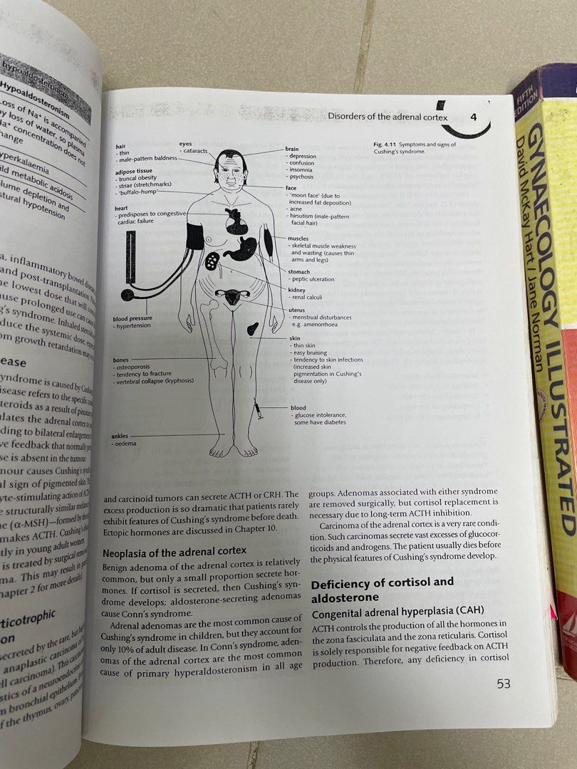 Obstetric and Gynaecology & Endocrine Textbook, Hobbies & Toys, Books & Magazines, Textbooks on ...