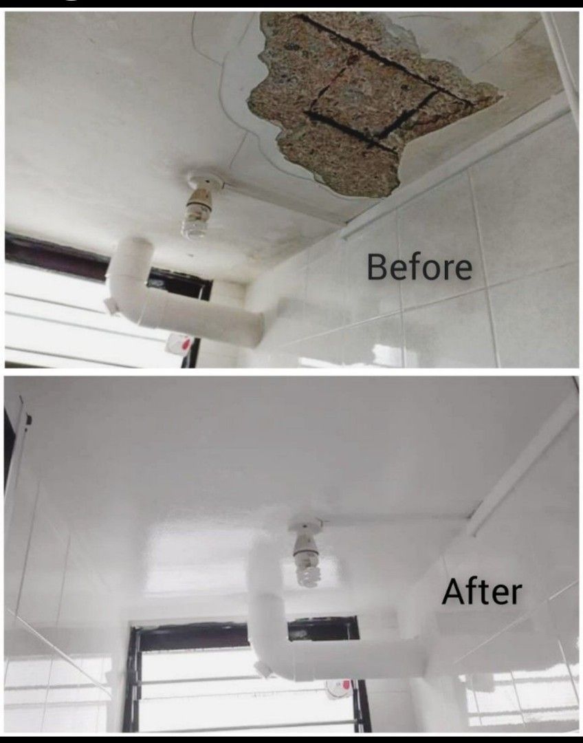 House plaster / skimming /plaster Contractor / even surface /ceiling ...