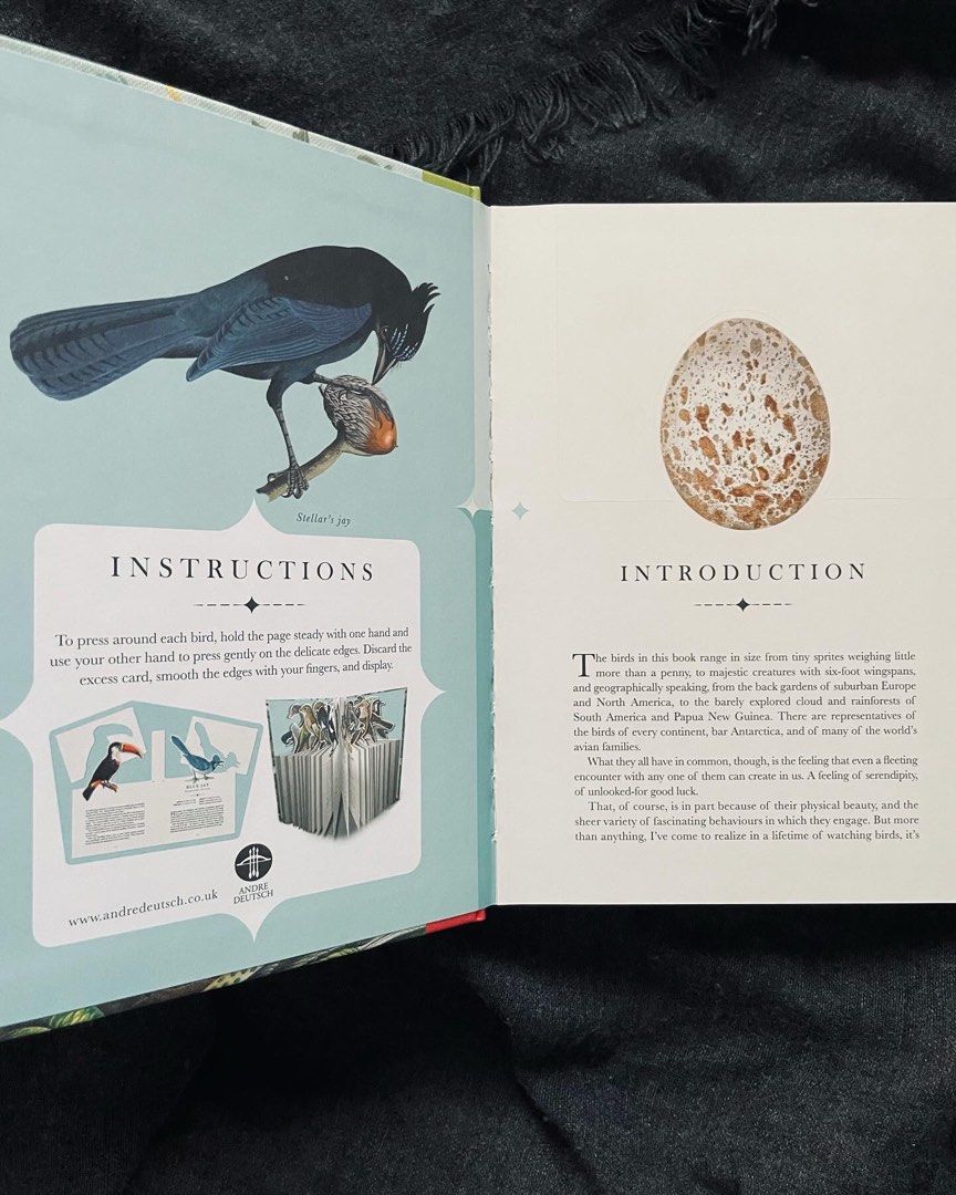 The Aviary • The Book That Transform Into A Work of Art By Matt Merritt ...