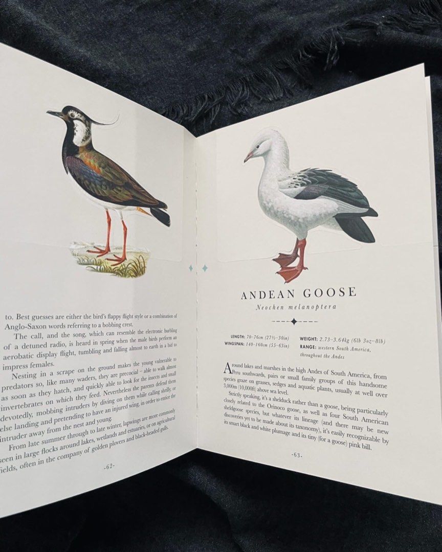 The Aviary • The Book That Transform Into A Work of Art By Matt Merritt ...