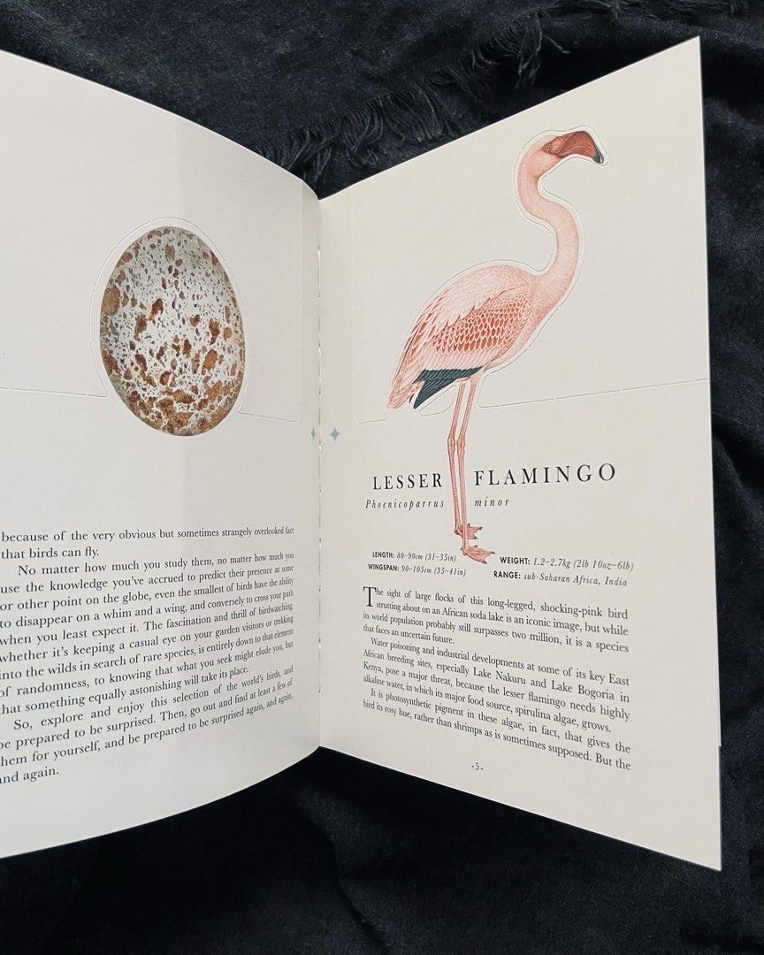 The Aviary • The Book That Transform Into A Work of Art By Matt Merritt ...